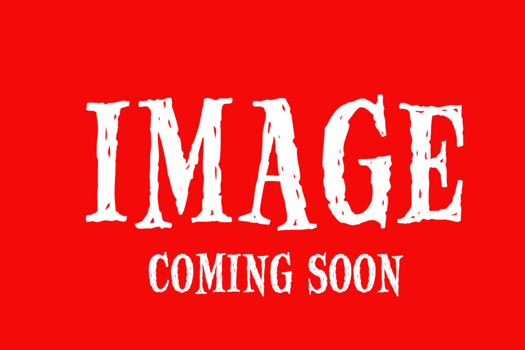 New 2024 large 7ft Leviton Demon Prop